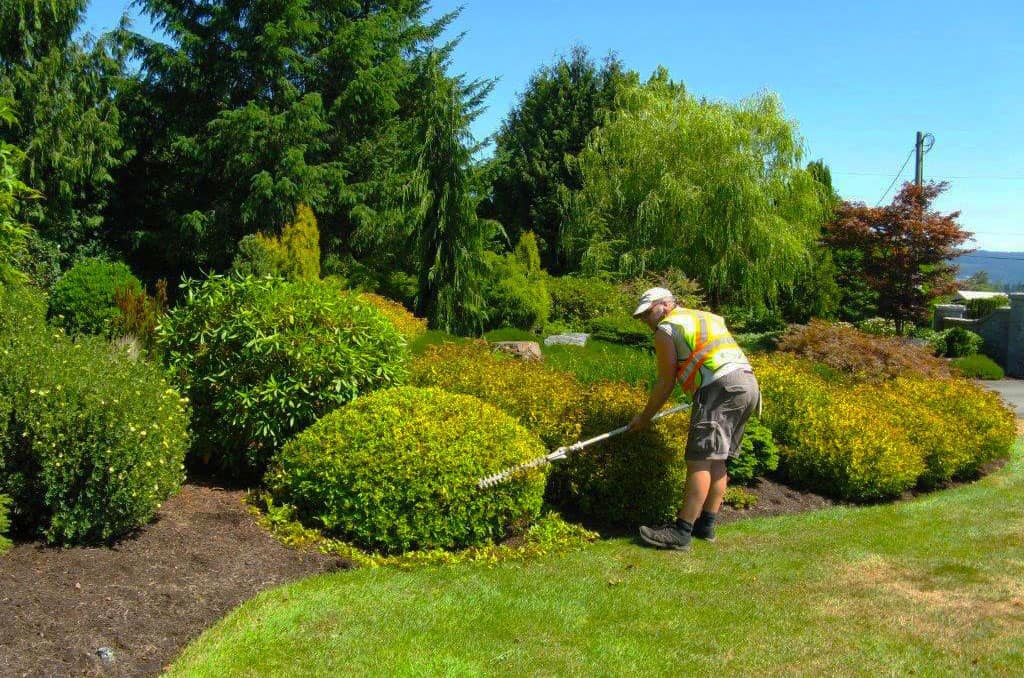 Strata Maintenance - Cedrus Landscaping Inc.